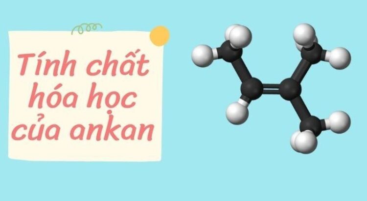 Tính chất hóa học của Ankan: Phân tích chi tiết các phản ứng